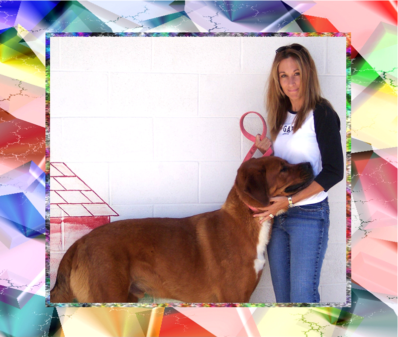 Gentle Giants Rescue and Adoptions